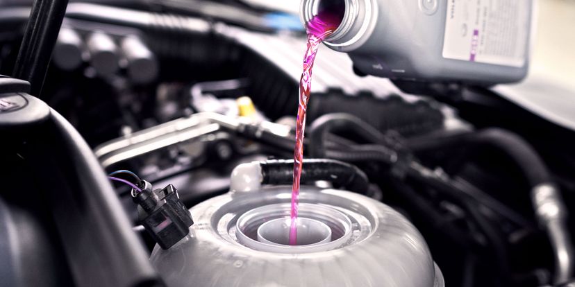Volkswagen Coolant